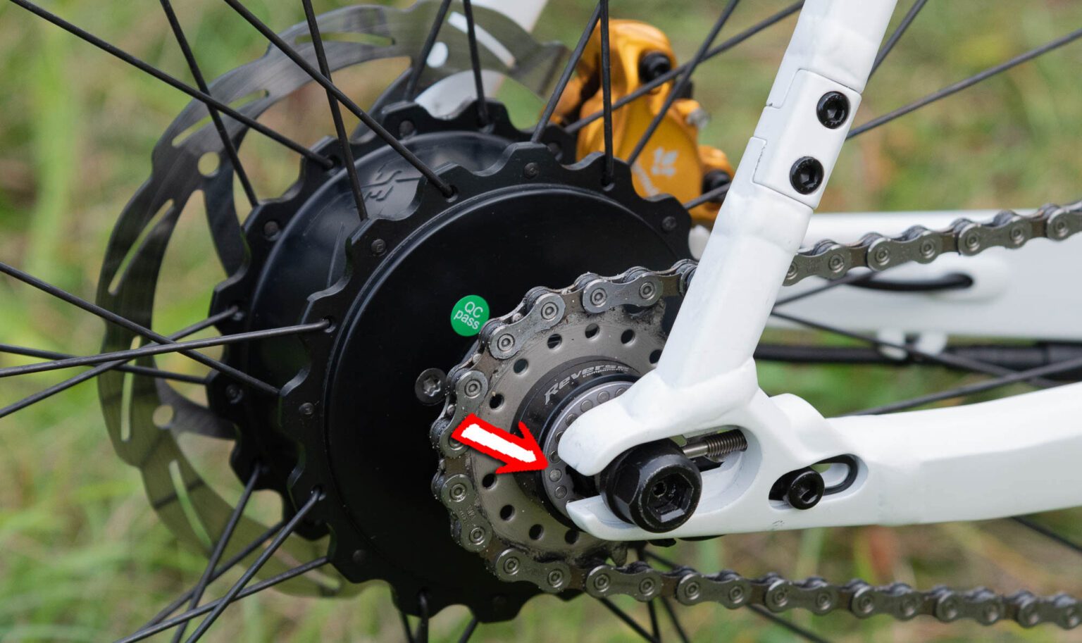 Mahle X35 Motor Connectivity Test ☑️ Steuerung & ANT+ LEV